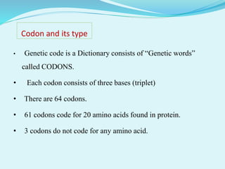 1. Genetic Code.pptx