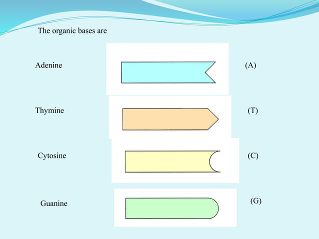 1. Genetic Code.pptx