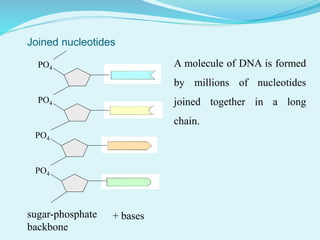 1. Genetic Code.pptx