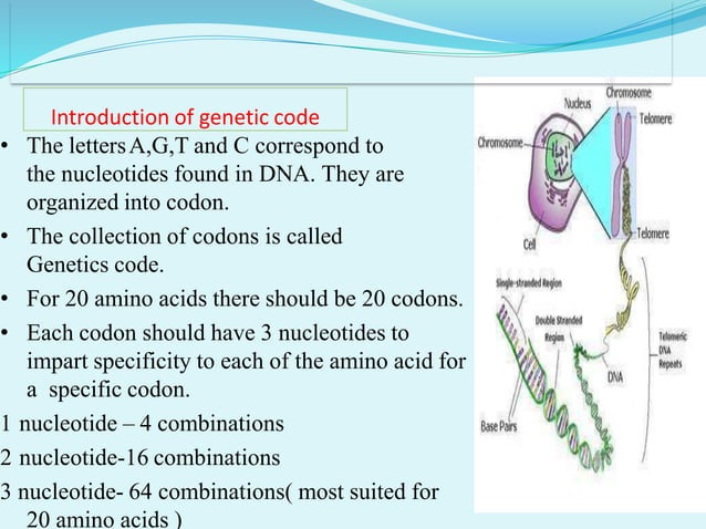 1. Genetic Code.pptx