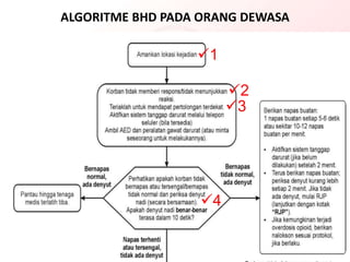 1. BHD review and case discussion.pptx