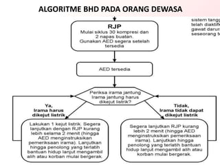 1. BHD review and case discussion.pptx