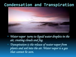 1.hydrologic cycle-.pdf