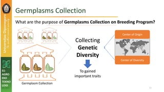 1. Pendahuluan Teknologi Pemuliaan Tanaman.pptx | Agriculture | Industries