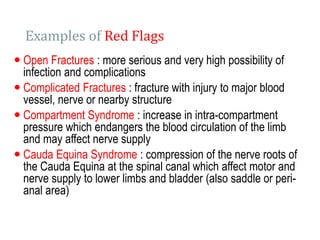 1. Introduction to Orthopaedics.ppt
