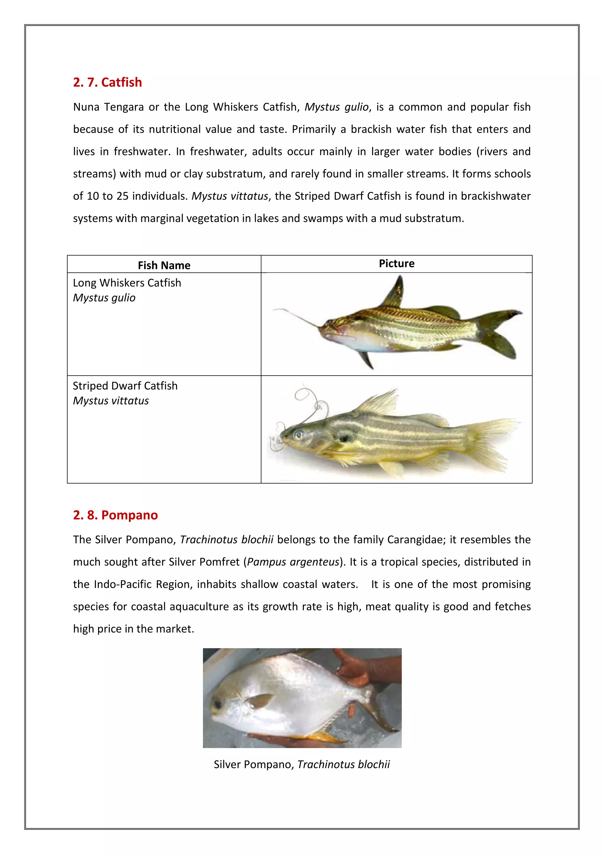 FISH AND FISHERIES OF INDIA | PDF