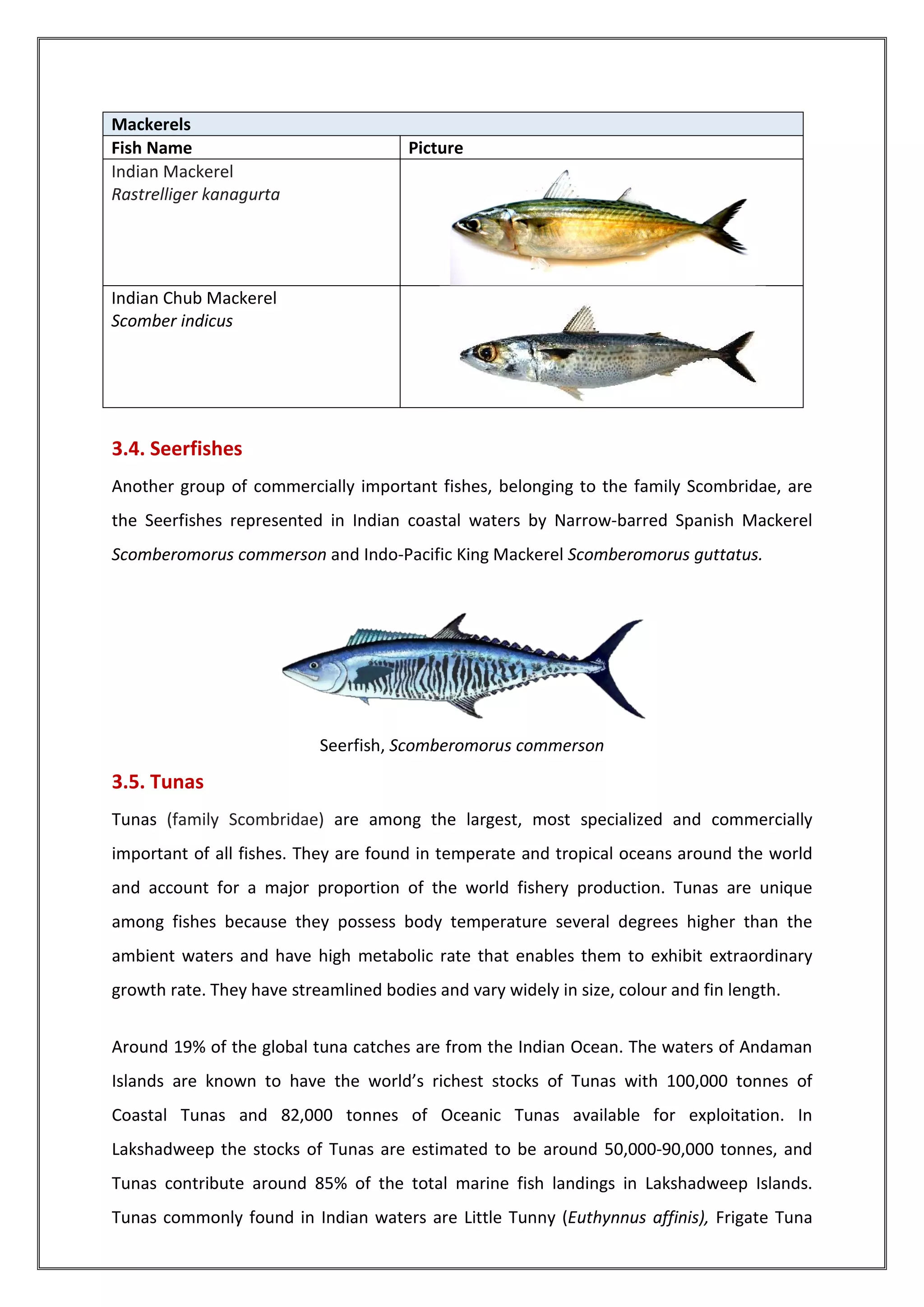 FISH AND FISHERIES OF INDIA | PDF