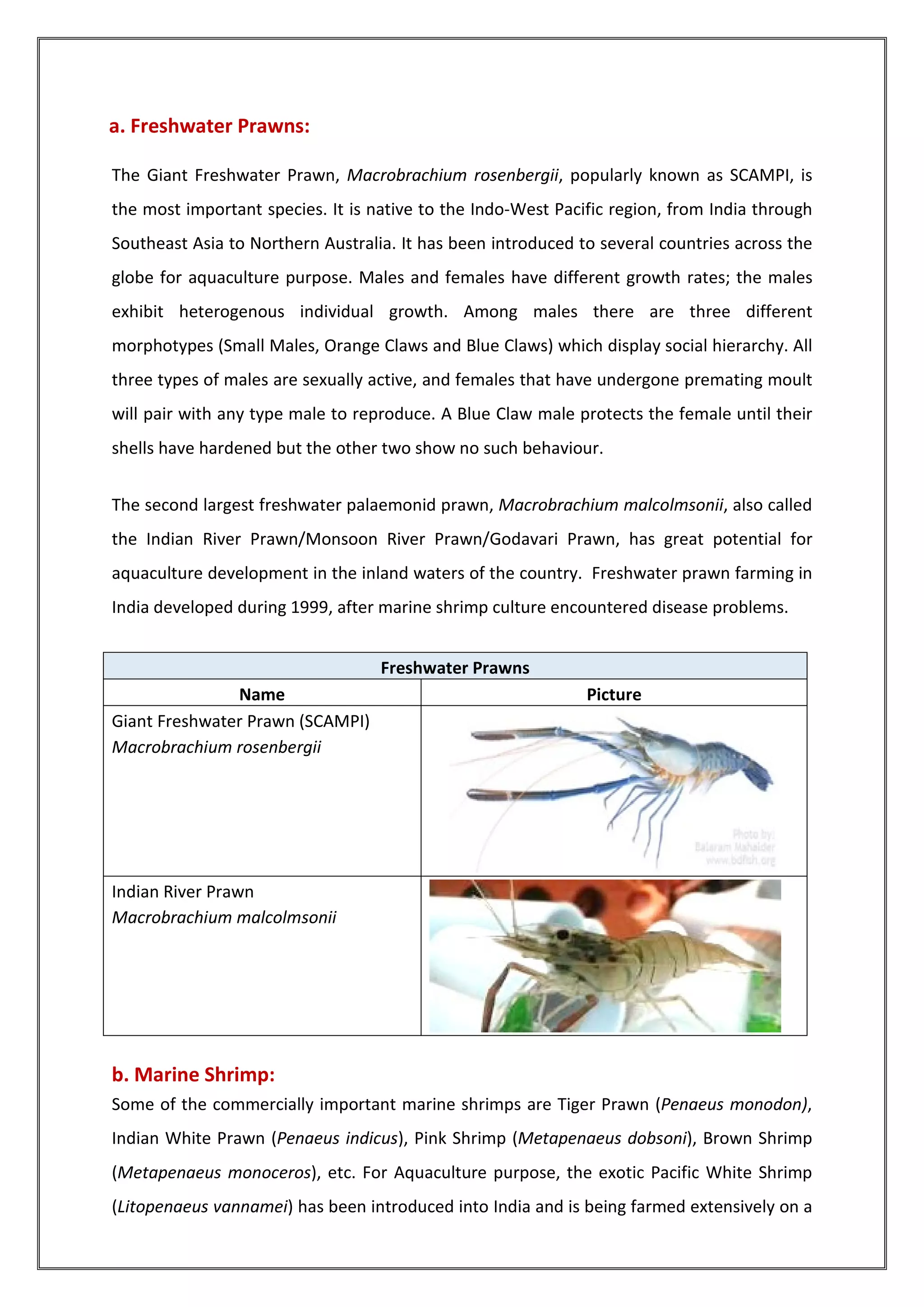 FISH AND FISHERIES OF INDIA | PDF