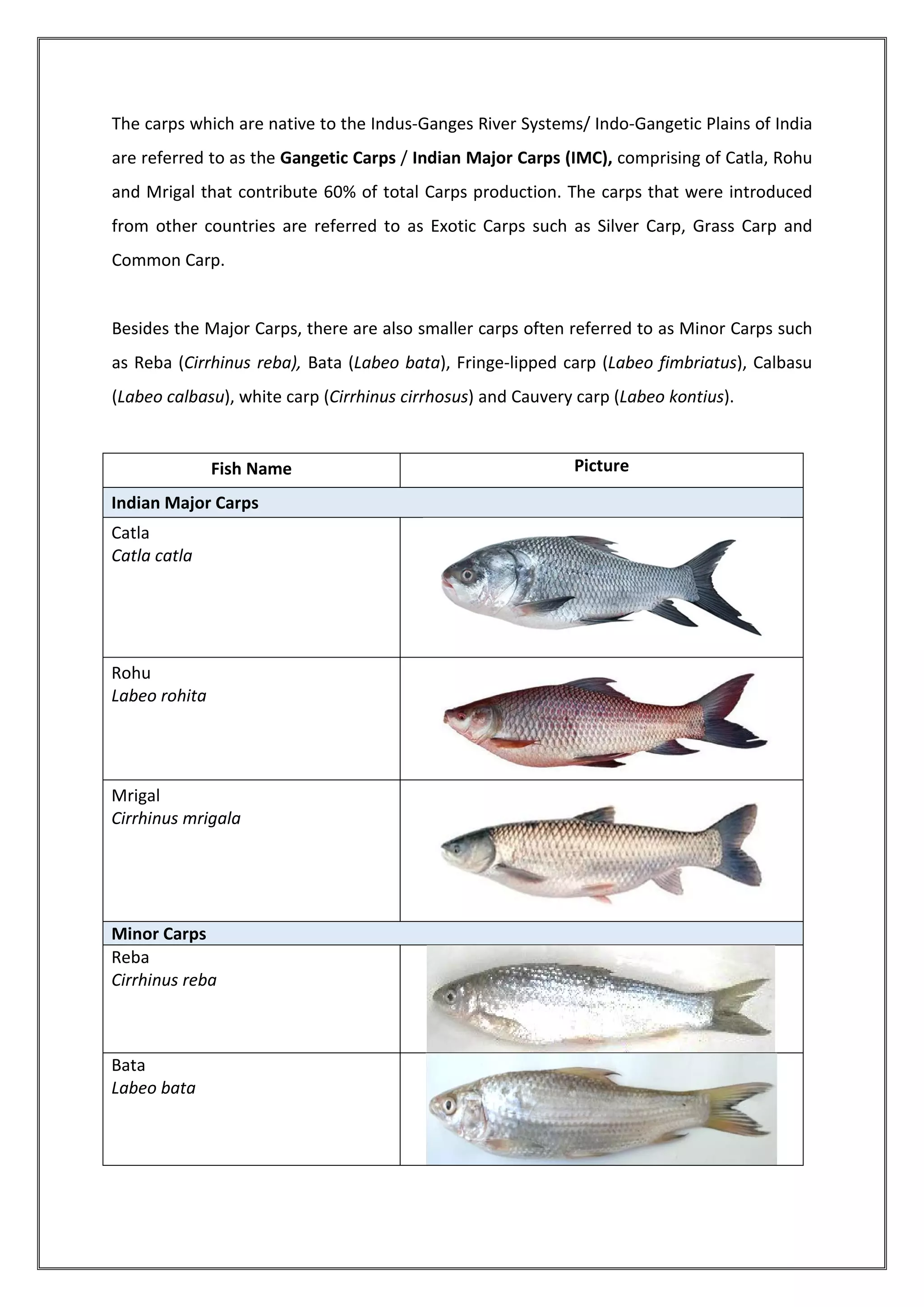 FISH AND FISHERIES OF INDIA | PDF