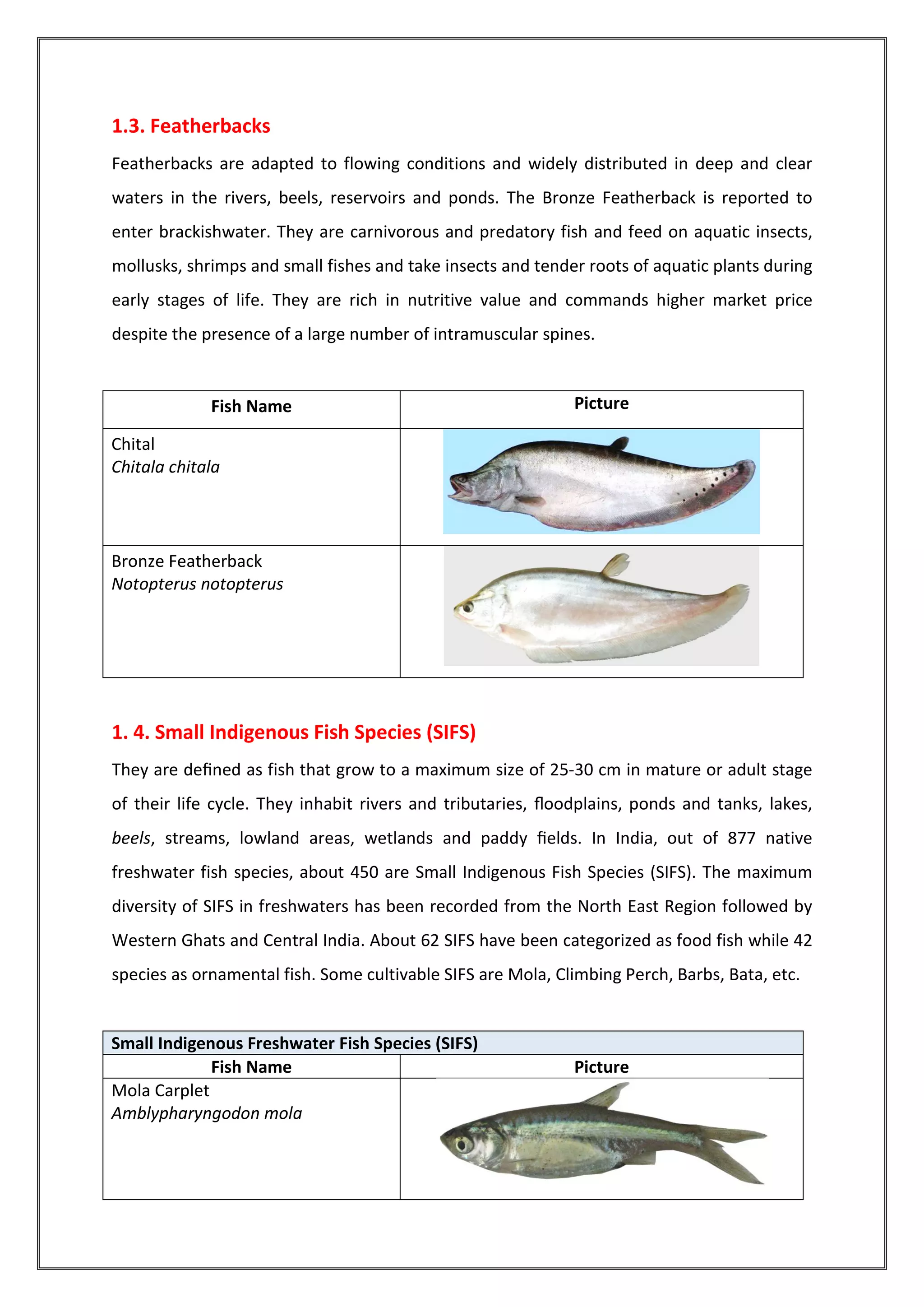 FISH AND FISHERIES OF INDIA | PDF