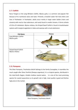 FISH AND FISHERIES OF INDIA | PDF