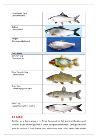 FISH AND FISHERIES OF INDIA | PDF