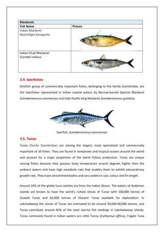 Indian Fishes With Names