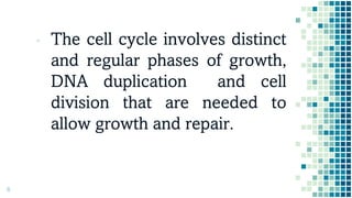 cell cycle.pptx