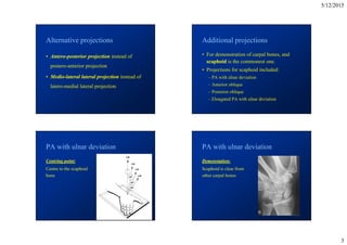 1. Upper Extremities.pdf