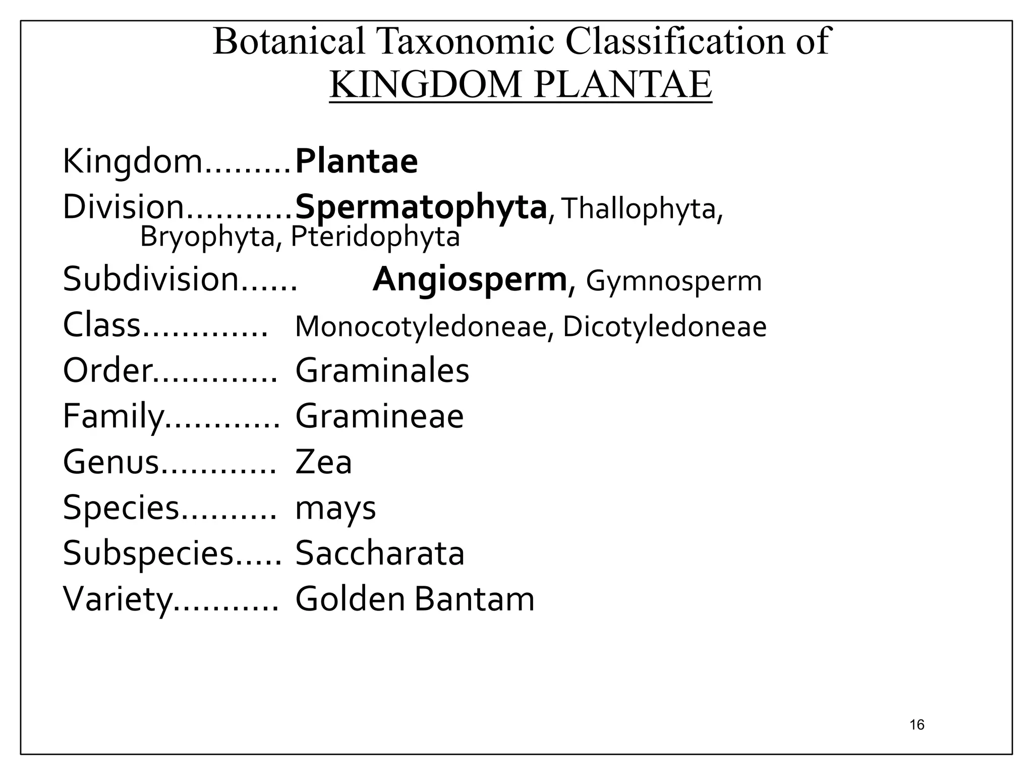 1. BOTANICAL CLASSIFICATION.ppt