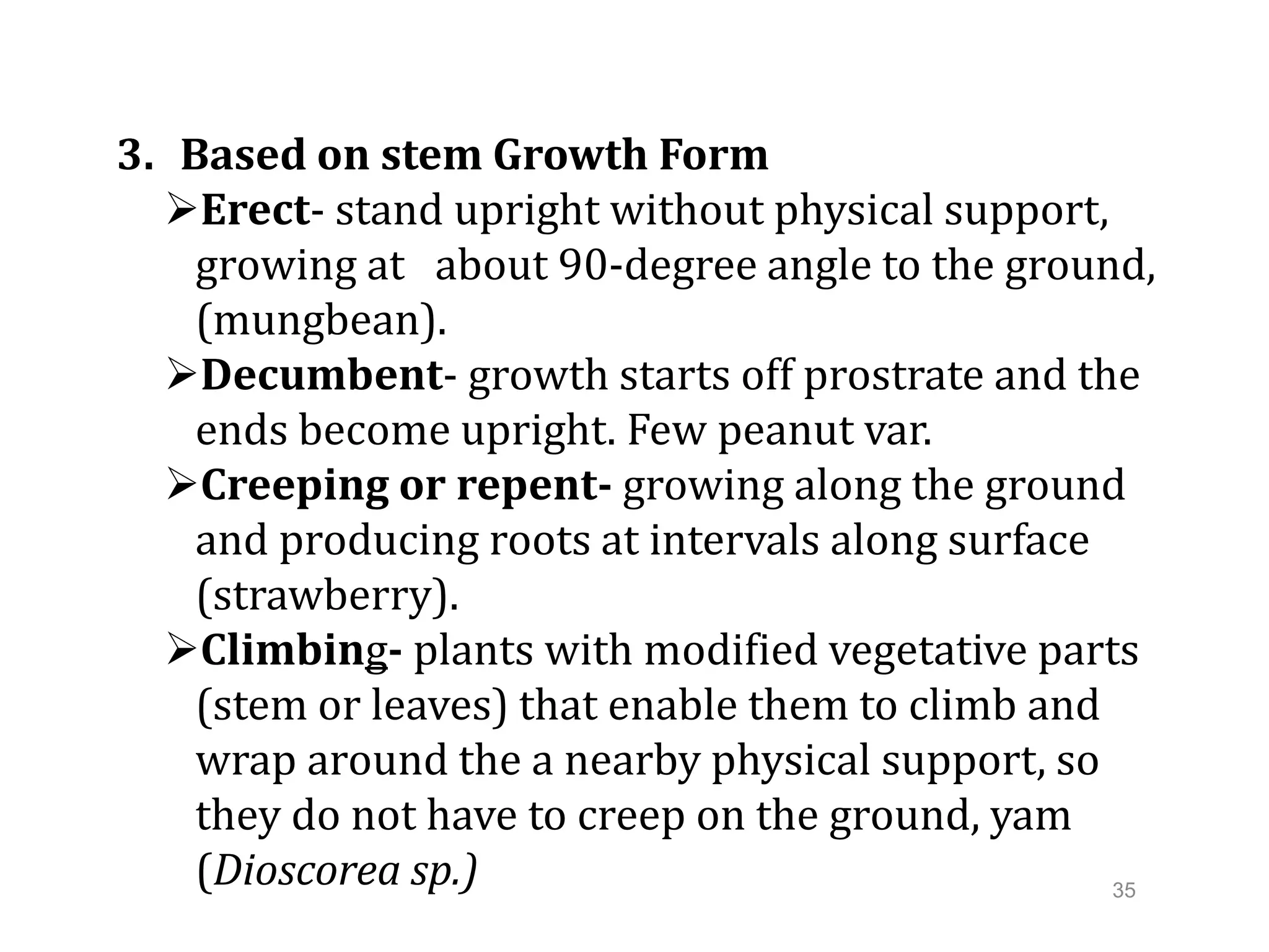 1. BOTANICAL CLASSIFICATION.ppt