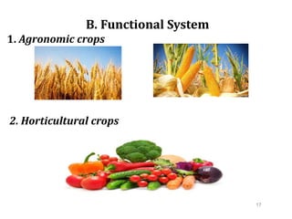 1. BOTANICAL CLASSIFICATION.ppt