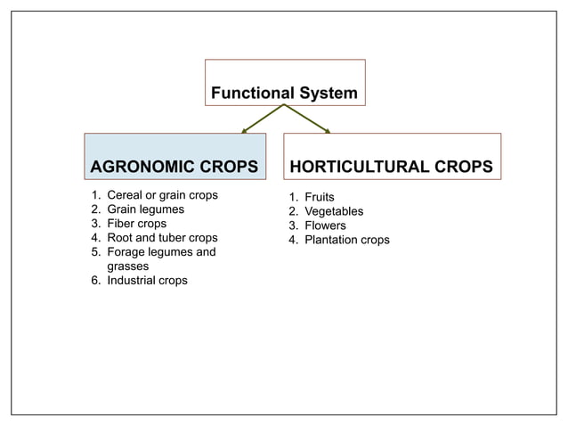 1. BOTANICAL CLASSIFICATION.ppt | Agriculture | Industries
