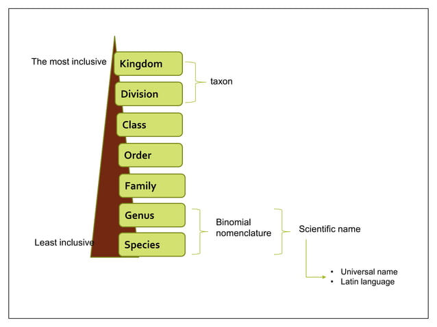 1. BOTANICAL CLASSIFICATION.ppt | Agriculture | Industries