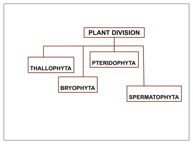 1. BOTANICAL CLASSIFICATION.ppt | Agriculture | Industries