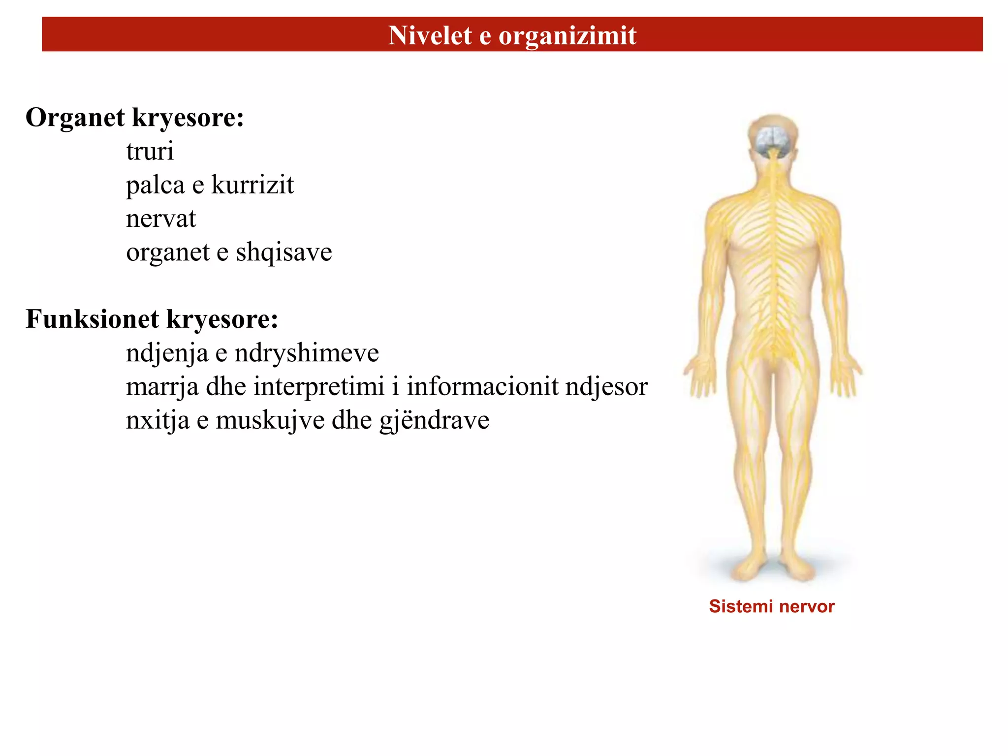 1. hyrje në anatomi dhe fiziologji.ppt