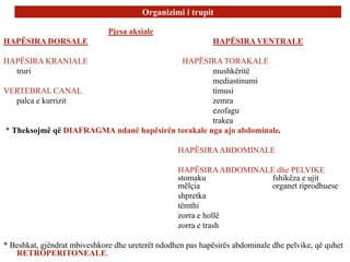 1. hyrje në anatomi dhe fiziologji.ppt