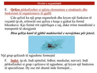 1. hyrje në anatomi dhe fiziologji.ppt