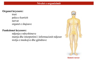 1. hyrje në anatomi dhe fiziologji.ppt