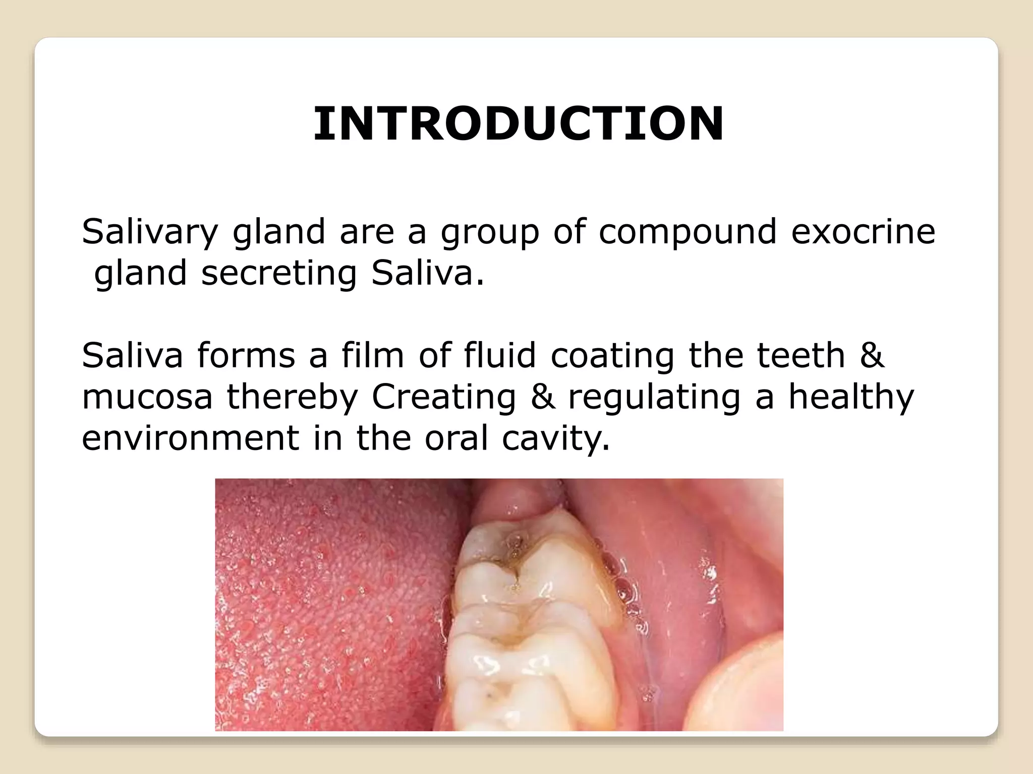 1.MAJOR SALIVARY GLANDS.pptx