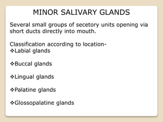 1.MAJOR SALIVARY GLANDS.pptx