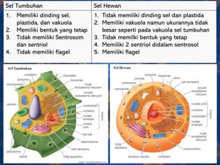 1. ANATOMI SEL 2022.pdf | Free Download