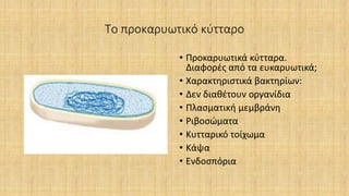 Το κύτταρο 1.pdf