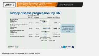 Metaanálisis iSGLT2 en pacientes con y sin diabetes | PDF