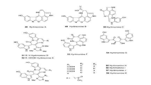 1. Bioactive Marine Alkaloids.pptx