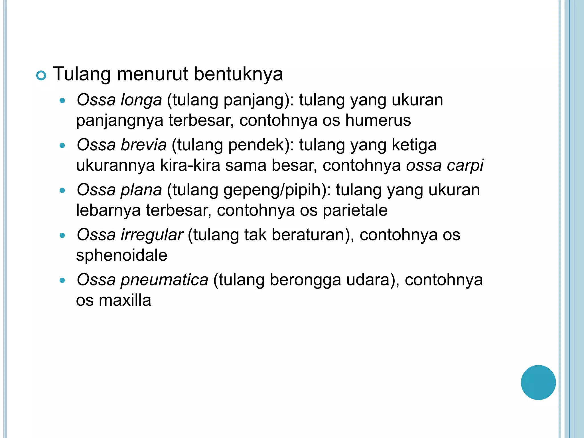 1. Terminologi sistem skeletal.pptx