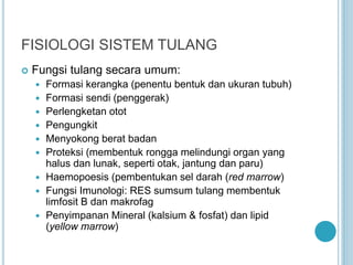 1. Terminologi sistem skeletal.pptx
