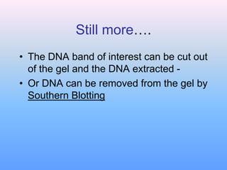 1. Electrophoresis DNA 1.ppt