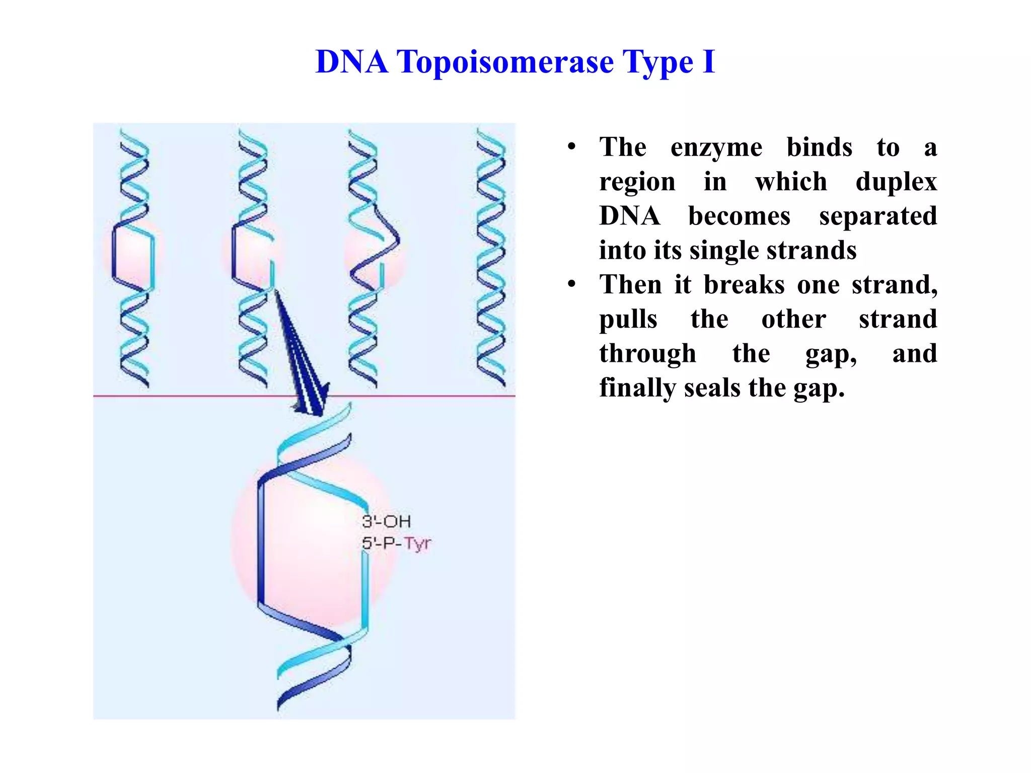 1. Genetic Recombination Part 1.pptx