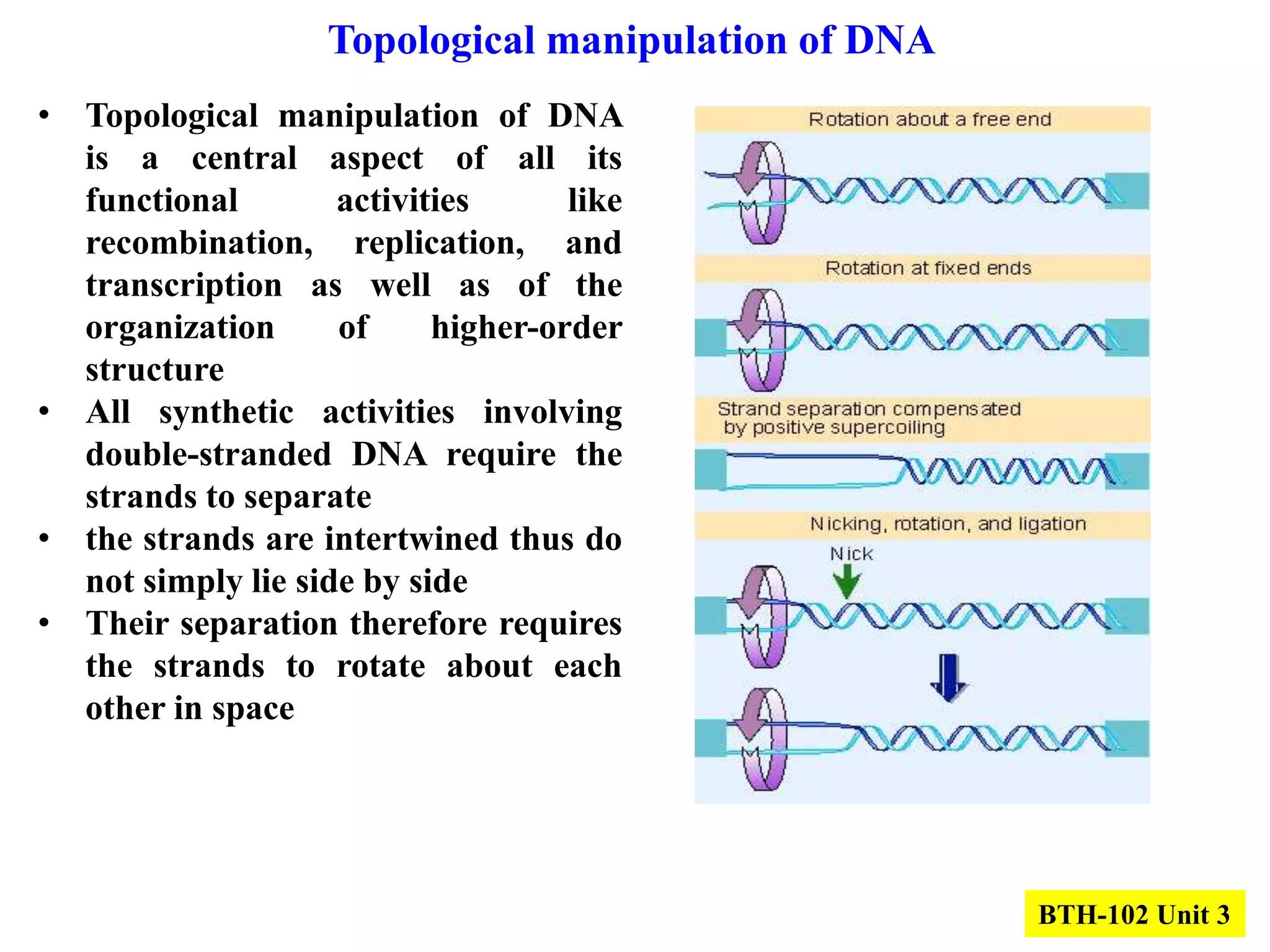 1. Genetic Recombination Part 1.pptx