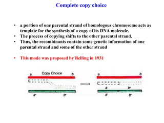 1. Genetic Recombination Part 1.pptx