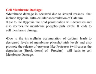 1.1 Basic principles of Cell injury.pptx