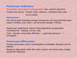 1. PEWARNAAN BAKTERI.ppt