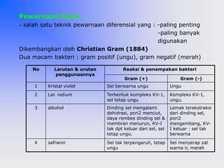 1. PEWARNAAN BAKTERI.ppt