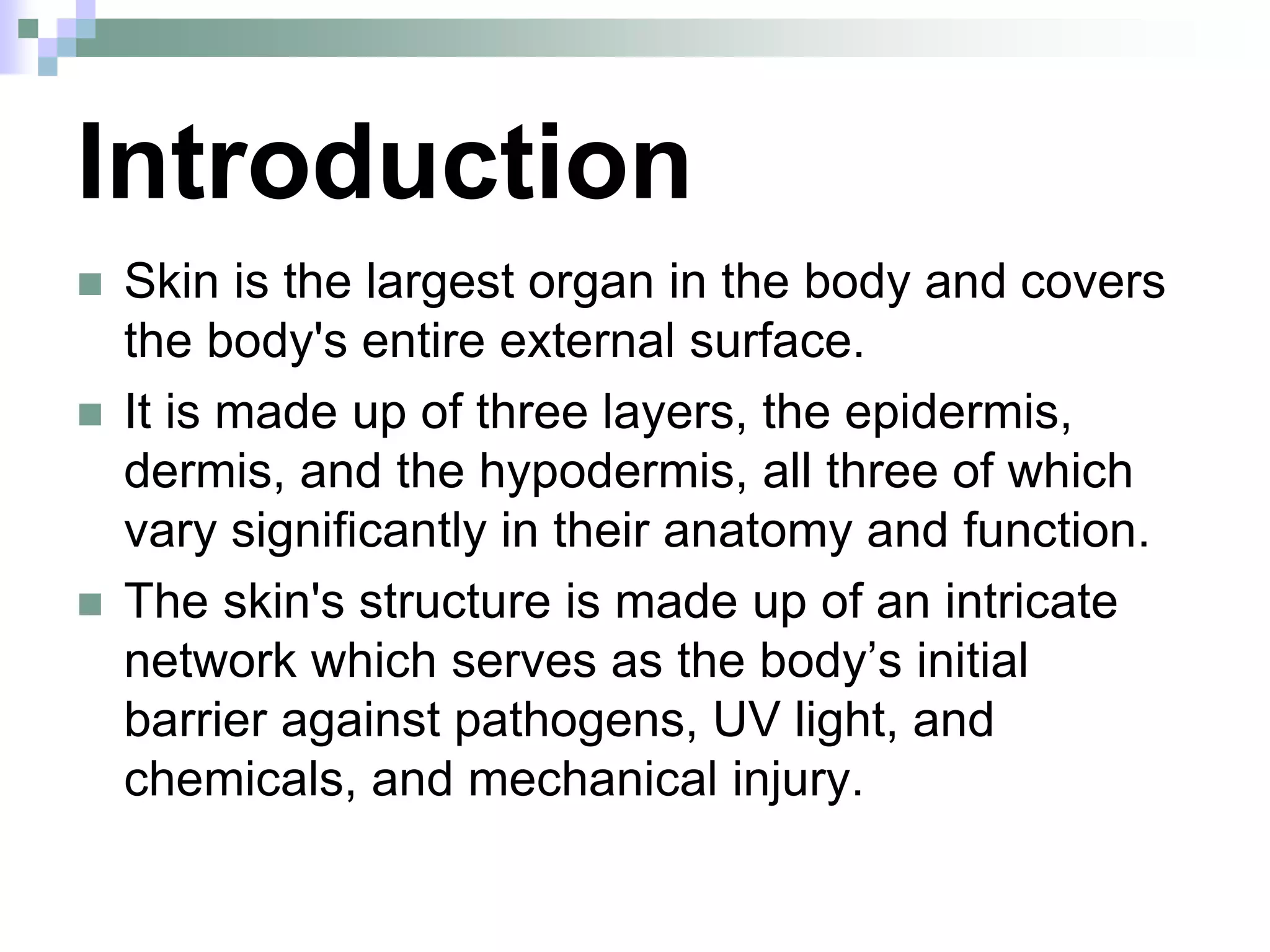 1.The Integumentary System.ppt