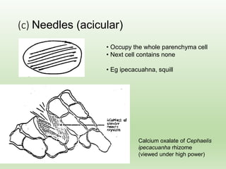 Introduction and Ergastic substances.pptx