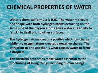 Biological Properties Of Water