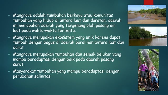 1. MANGROVE (Pengertian dan Fungsi).pdf