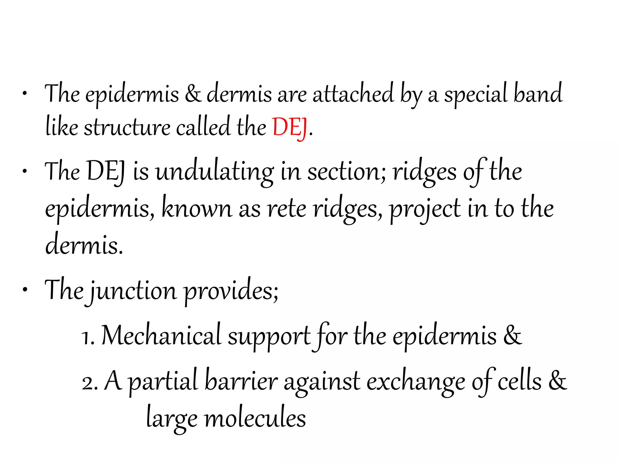 1. Introduction to integumentary system.pptx | Skin and Dermatology ...