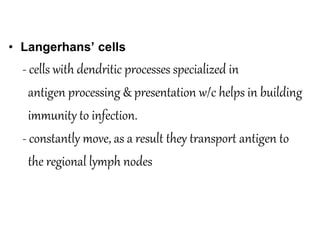 1. Introduction to integumentary system.pptx | Skin and Dermatology ...